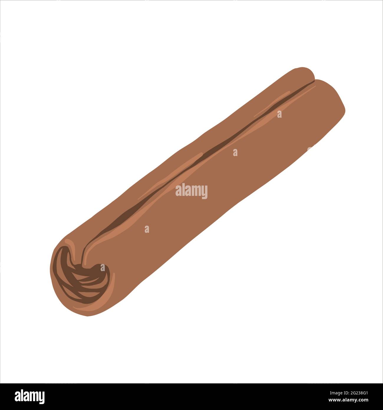 Cinnamon stick hand drawn illustration, detailed realistic drawing ...