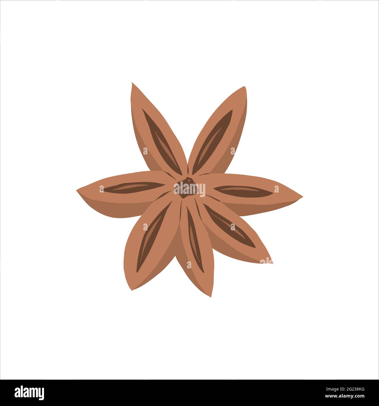 Anise spice star, handrawn vector illustration, detailed colored ...