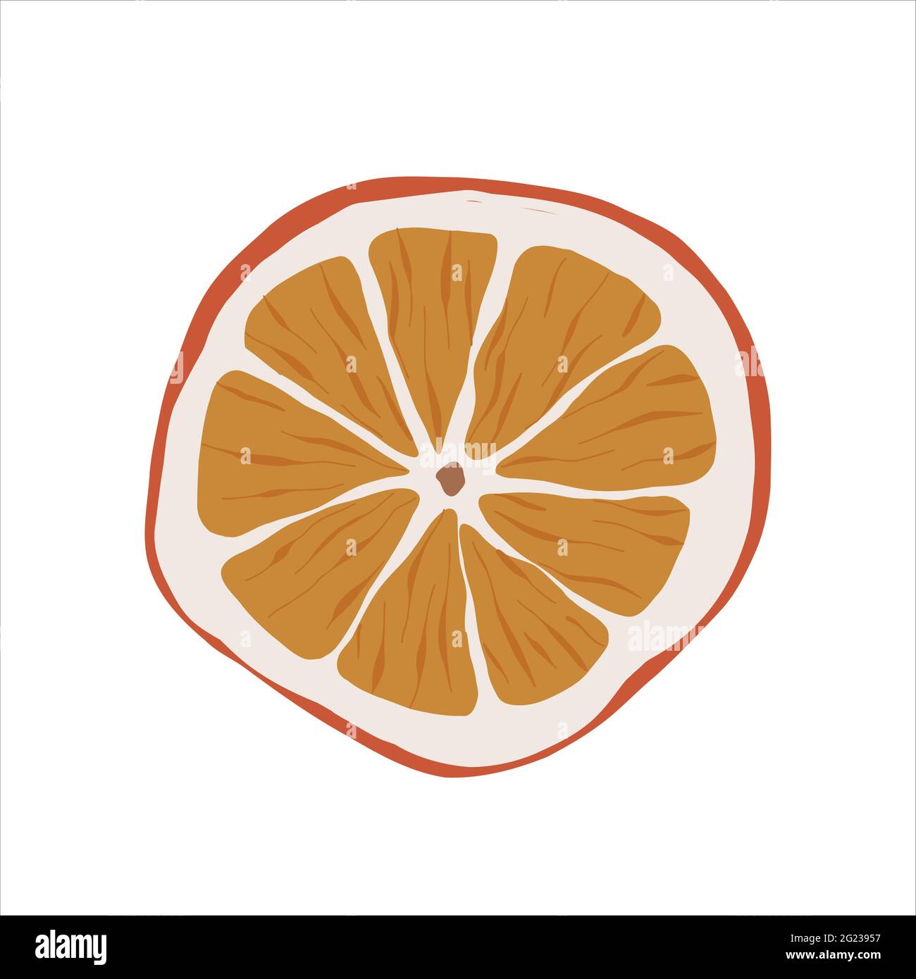 Dried orange slice, dehydrated dry citrus fruit, tea ingredient, vector ...