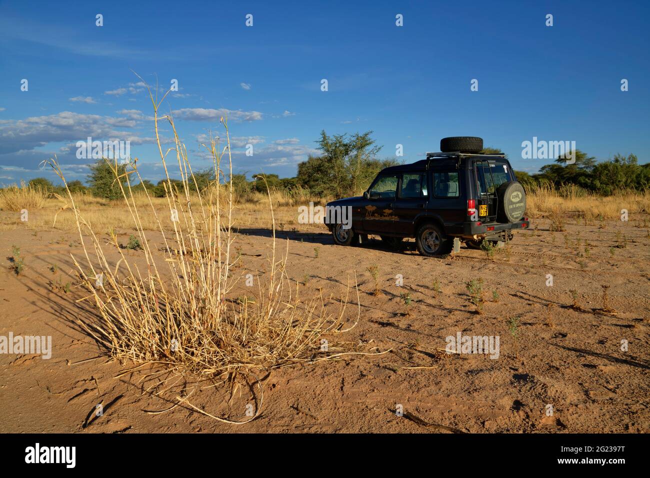 All wheel car in dry Omaruru river (dry river) near Omaruru, Erongo ...