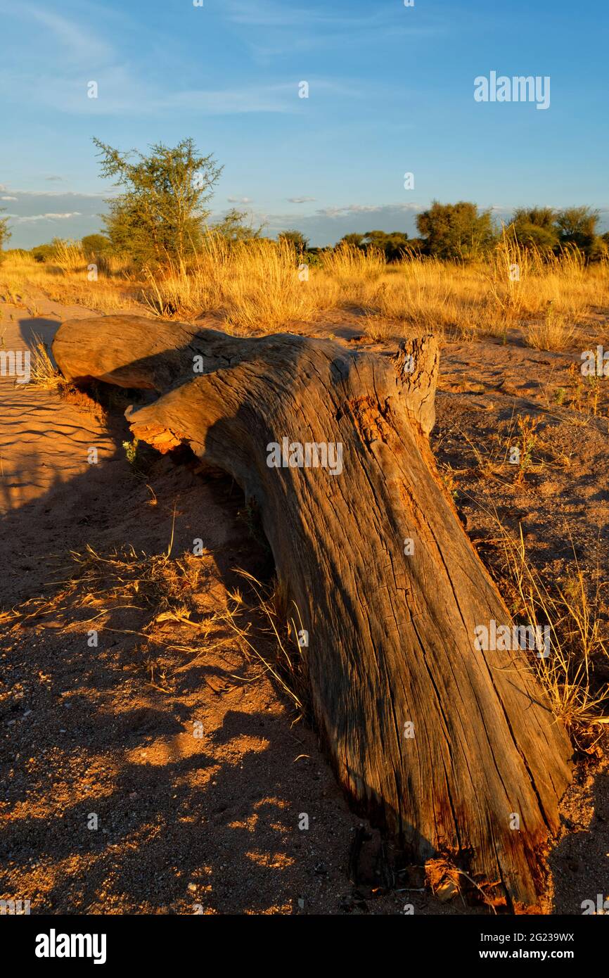 Omaruru fluss hi-res stock photography and images - Alamy