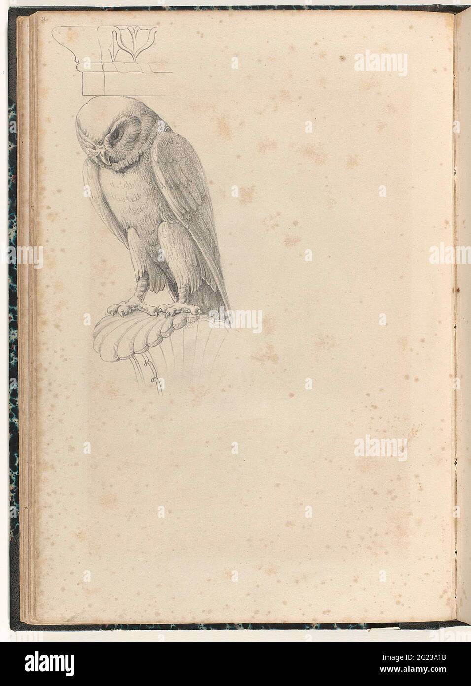 Classical wildlife depiction hi-res stock photography and images - Alamy