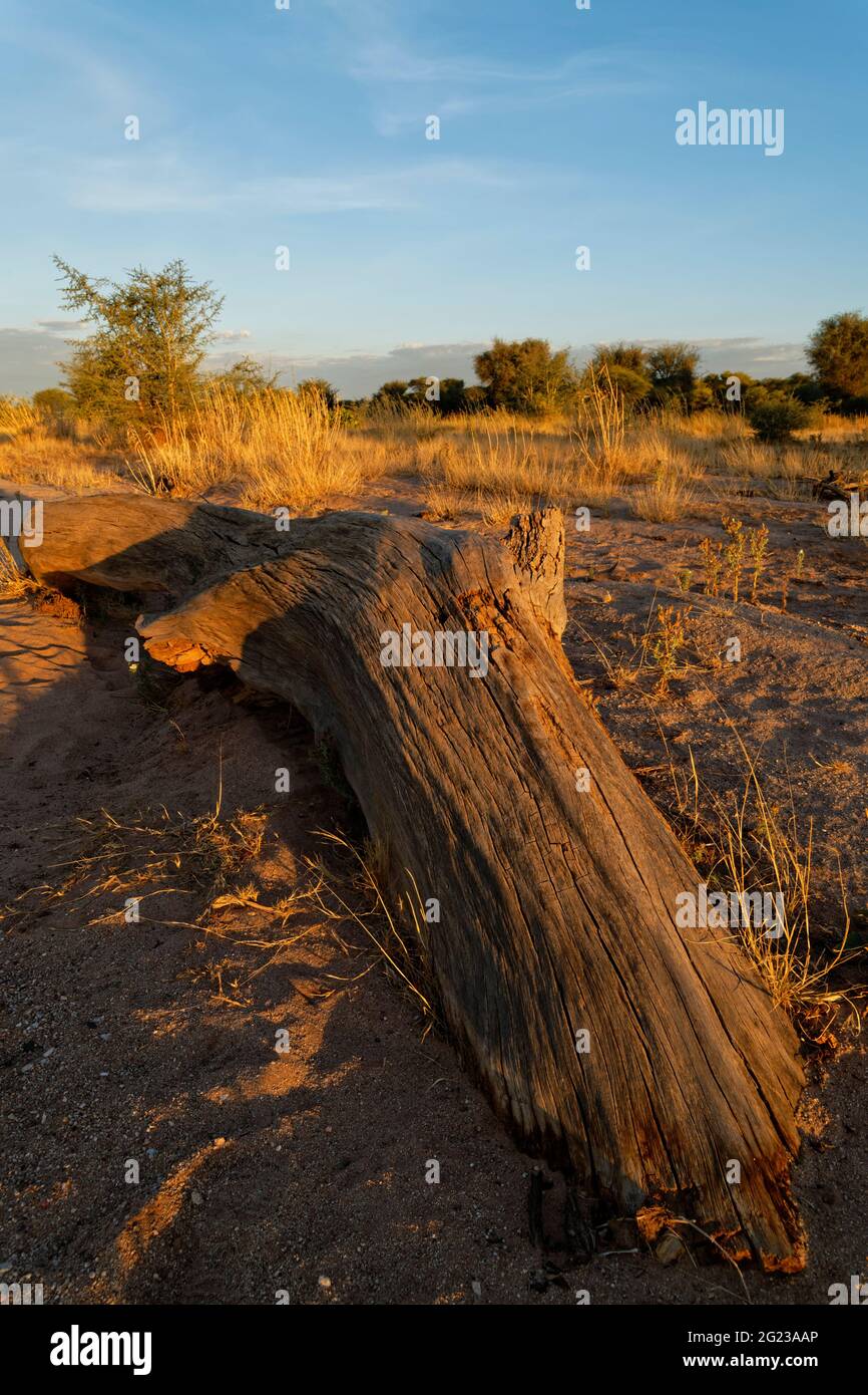 Omaruru fluss hi-res stock photography and images - Alamy
