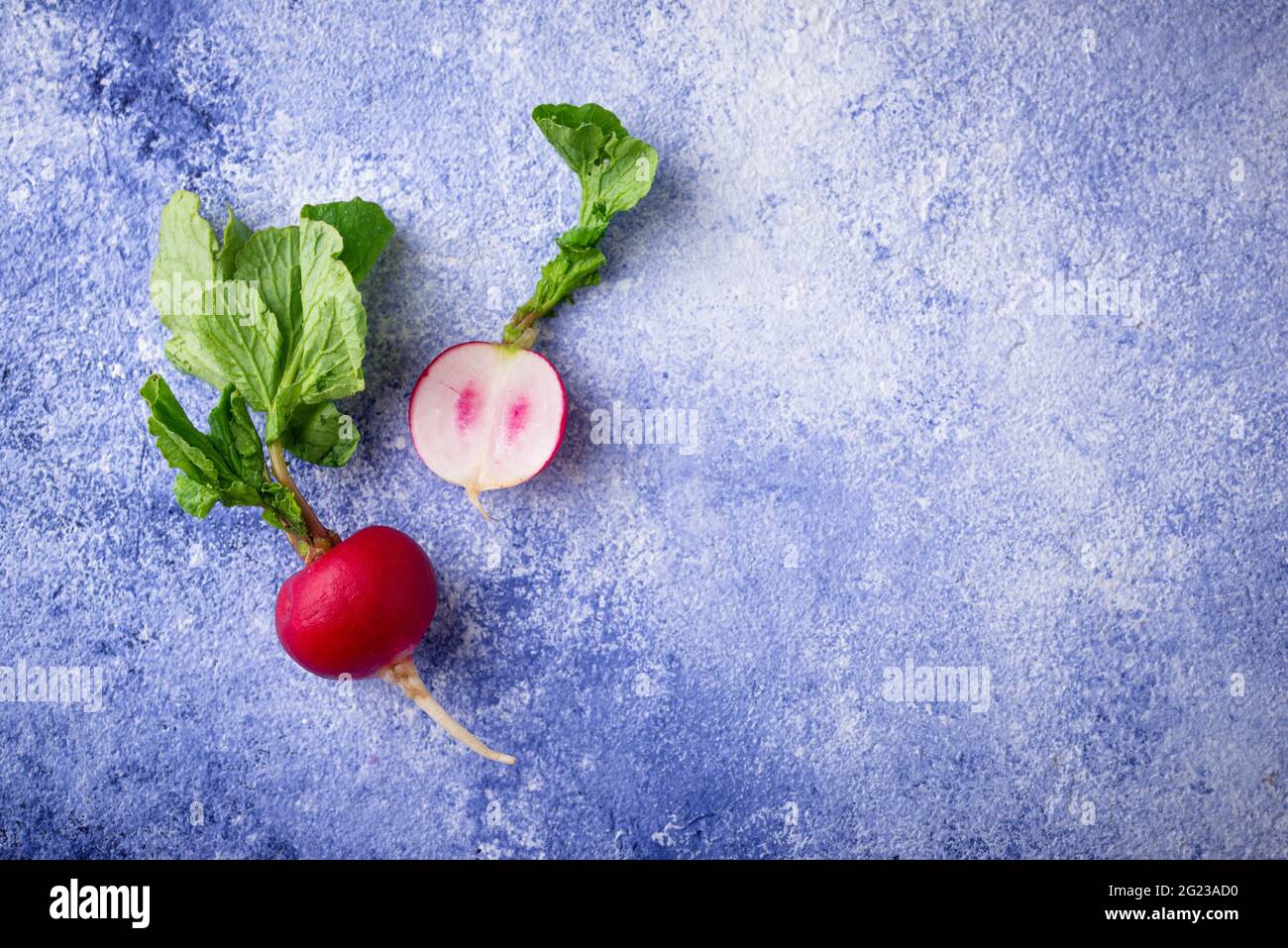 Radish on blue concrete backgrounds Stock Photo - Alamy