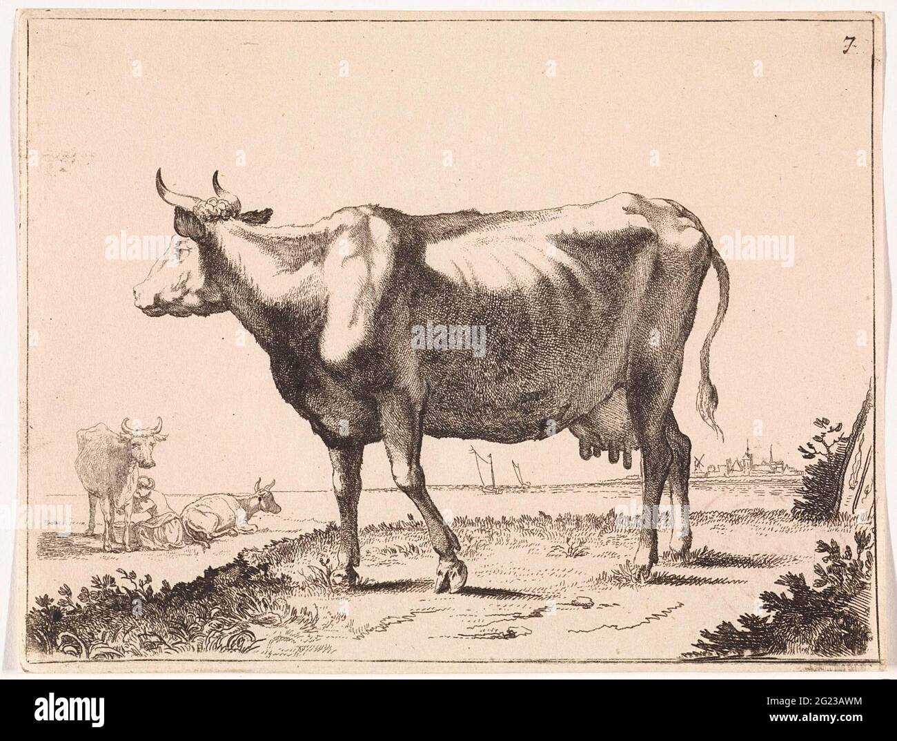 Dairy cow; Oxen and cows. Landscape with a dairy cow. On the left in ...