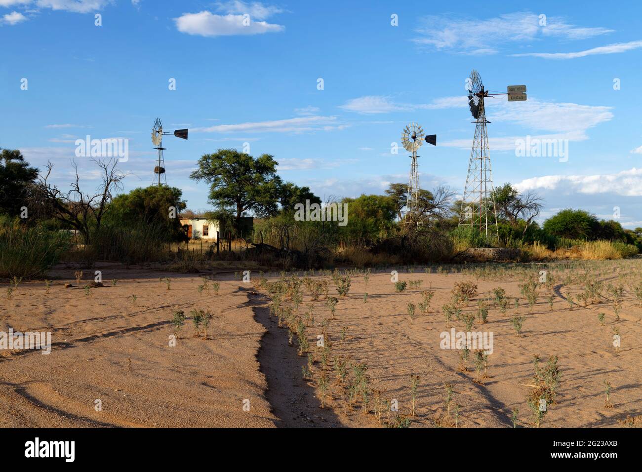 Windmills of a farm at the banks of the dry Omaruru river (dry river ...