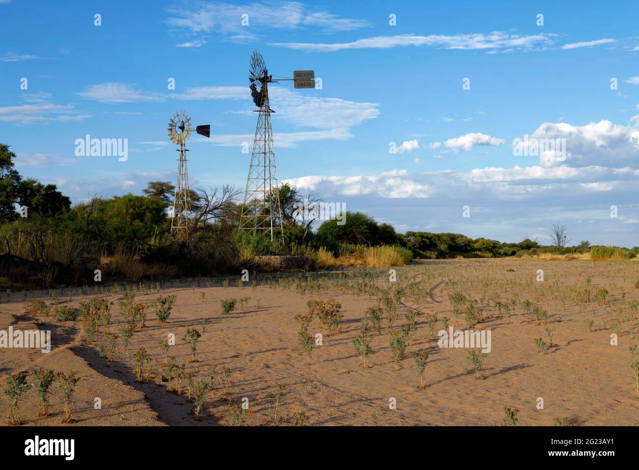 Windmills of a farm at the banks of the dry Omaruru river (dry river ...
