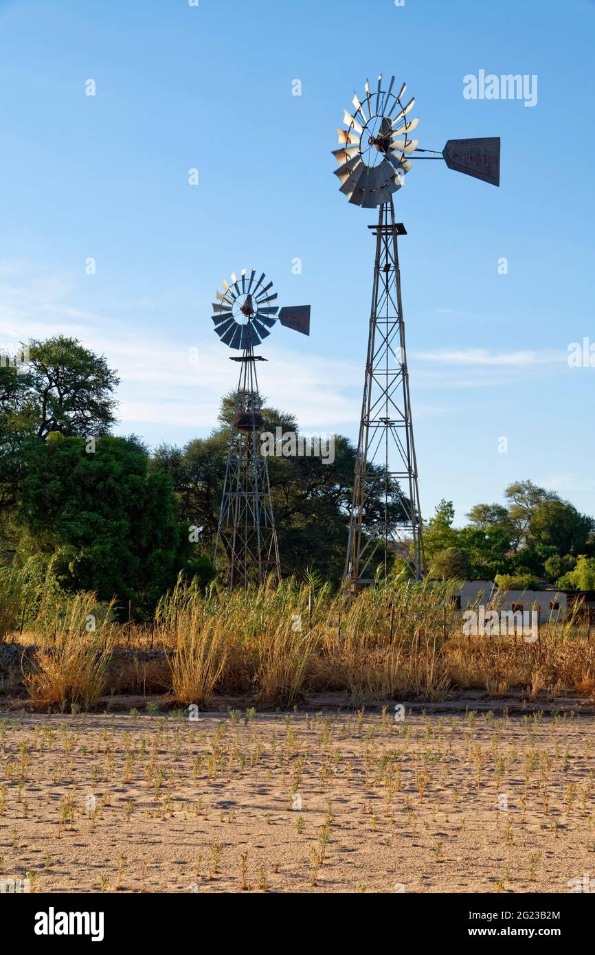 Windmills of a farm at the banks of the dry Omaruru river (dry river ...