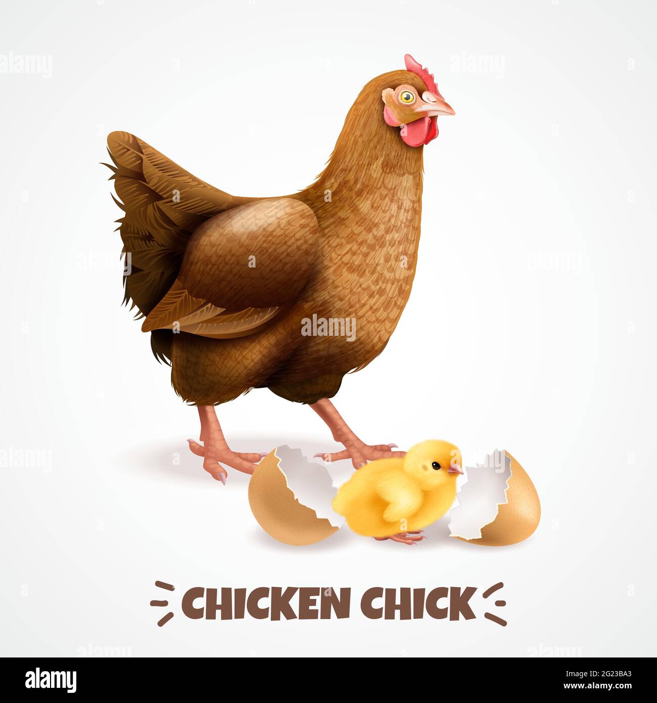 Mother Hen Stock Vector Images - Alamy