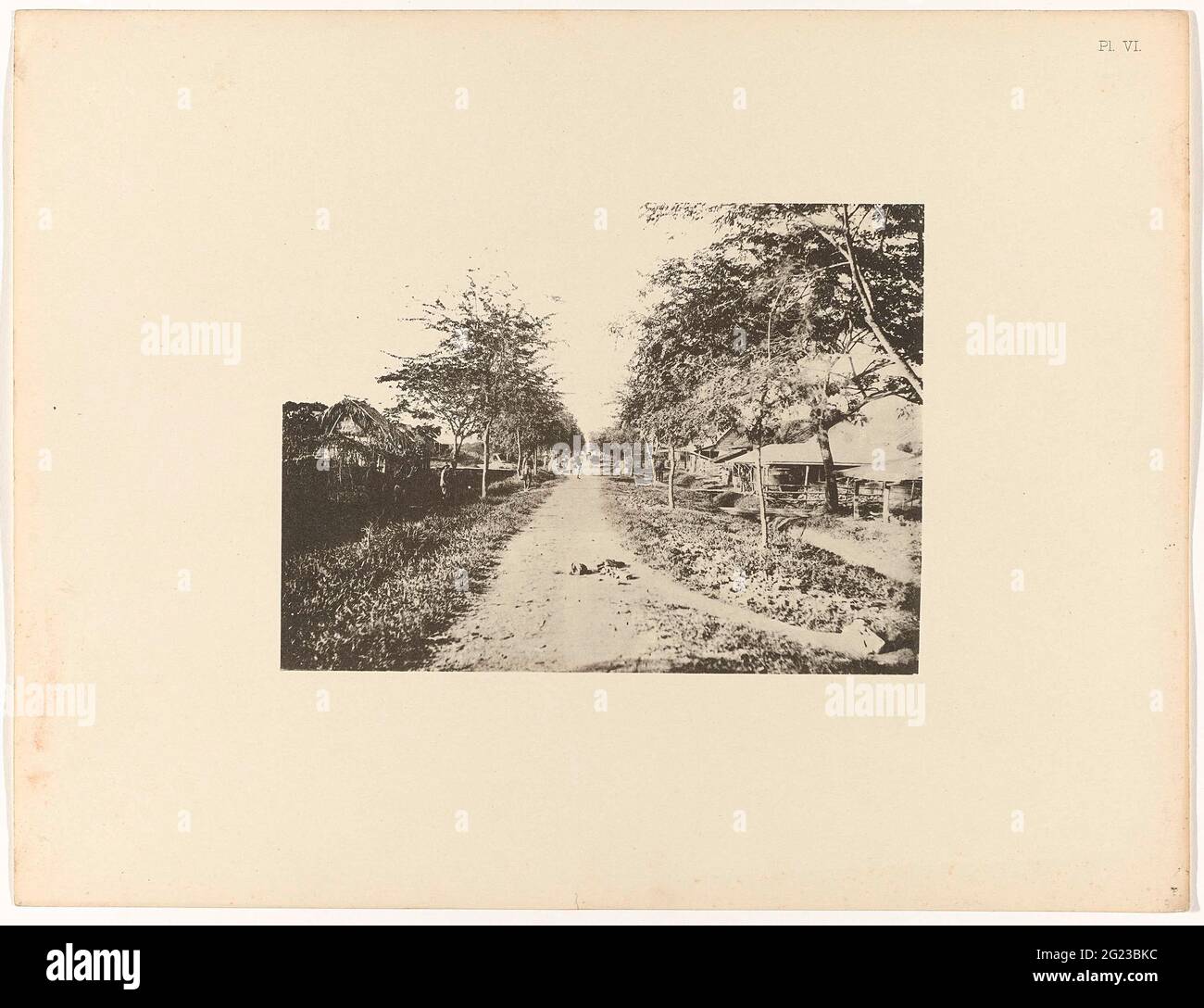 Tamarindelaan, Mariënburg, Suriname; Colony Suriname images concerning ...