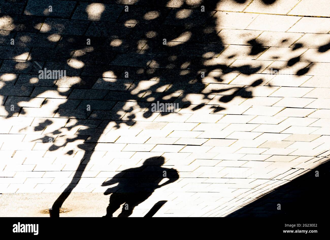 Blurry shadow silhouette of a person standing under a tree on a city ...