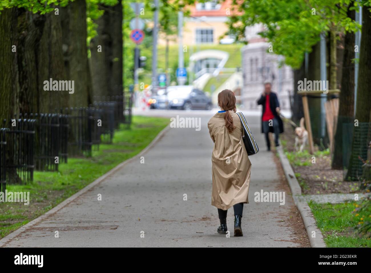 unrecognizable people walk down the sidewalk through a tree alley in a ...