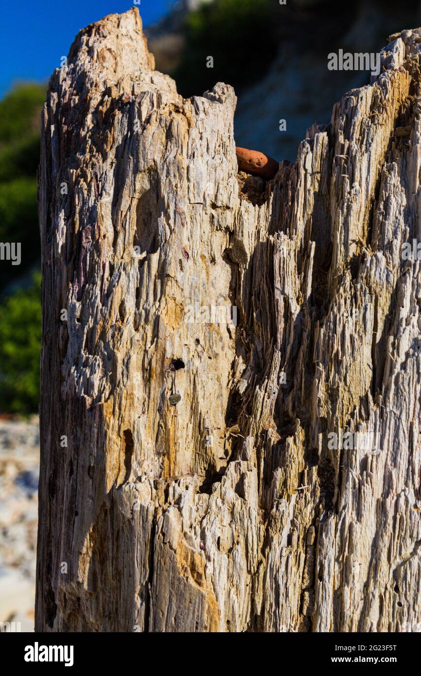 Rotten Woodwork High Resolution Stock Photography and Images - Alamy