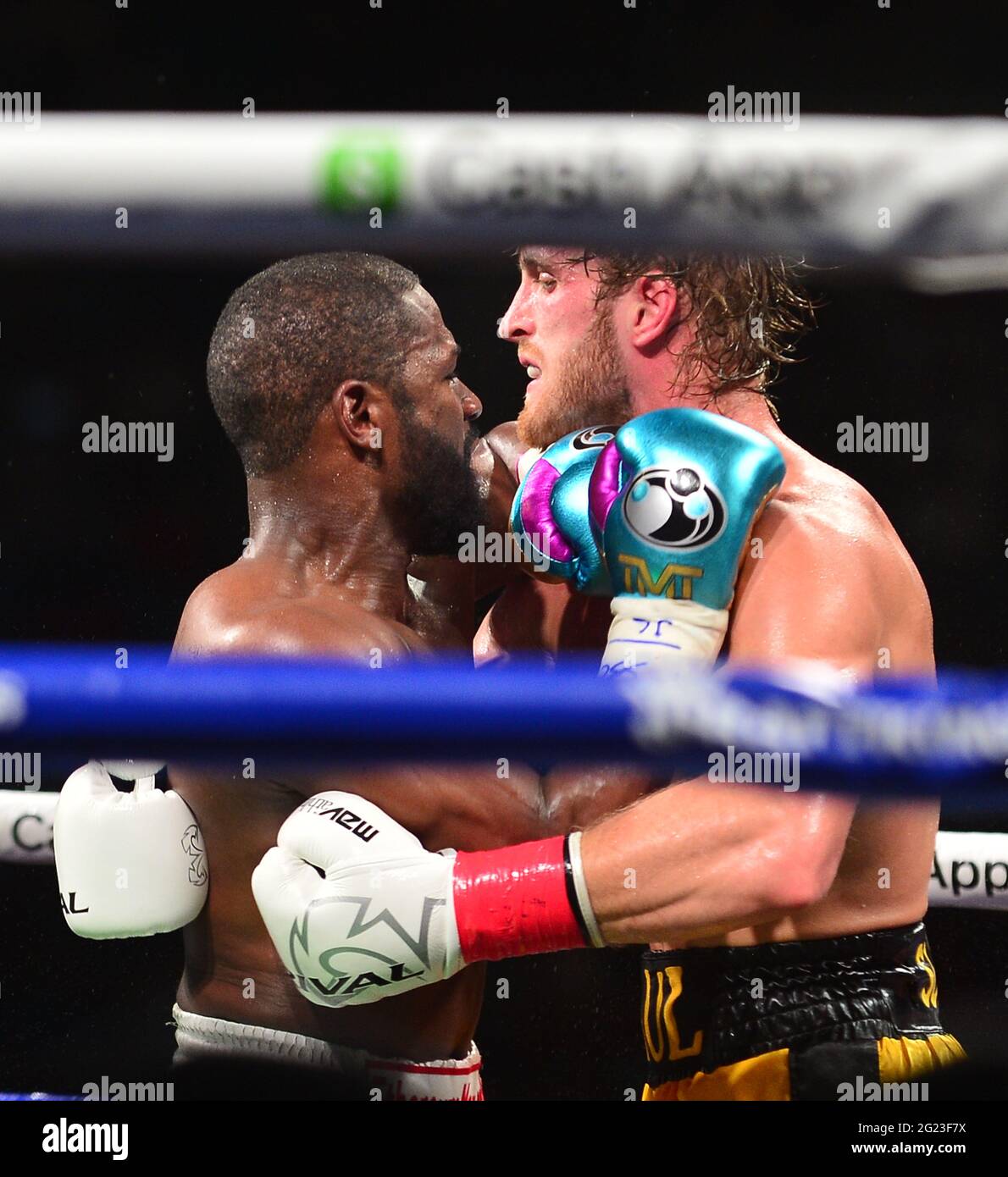 Youtube boxer hi-res stock photography and images - Alamy