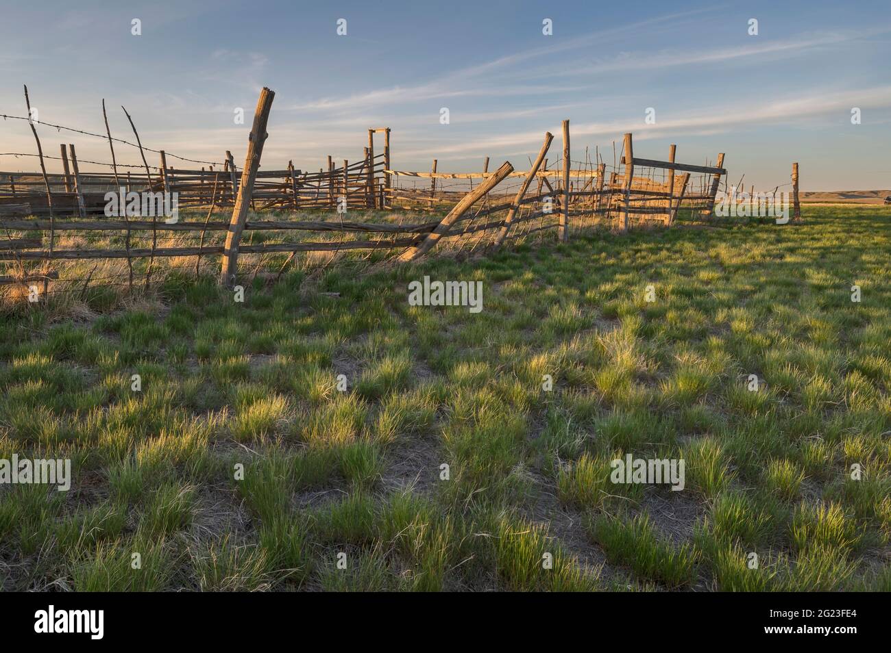 Old corral hi-res stock photography and images - Alamy