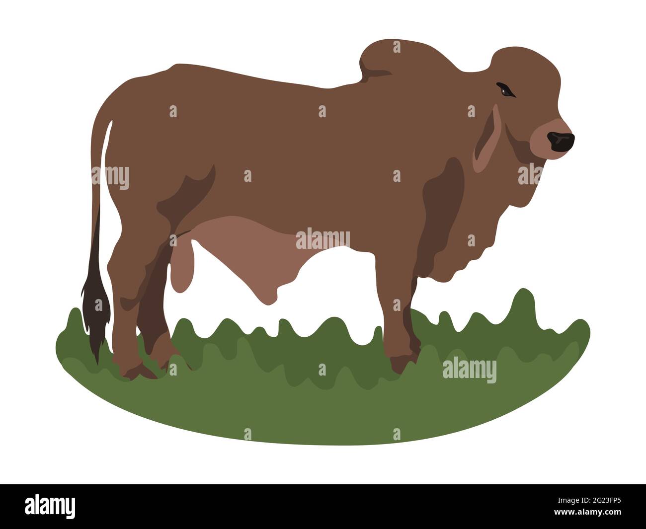 Cartoon bull illustration isolated on white background Stock Vector ...
