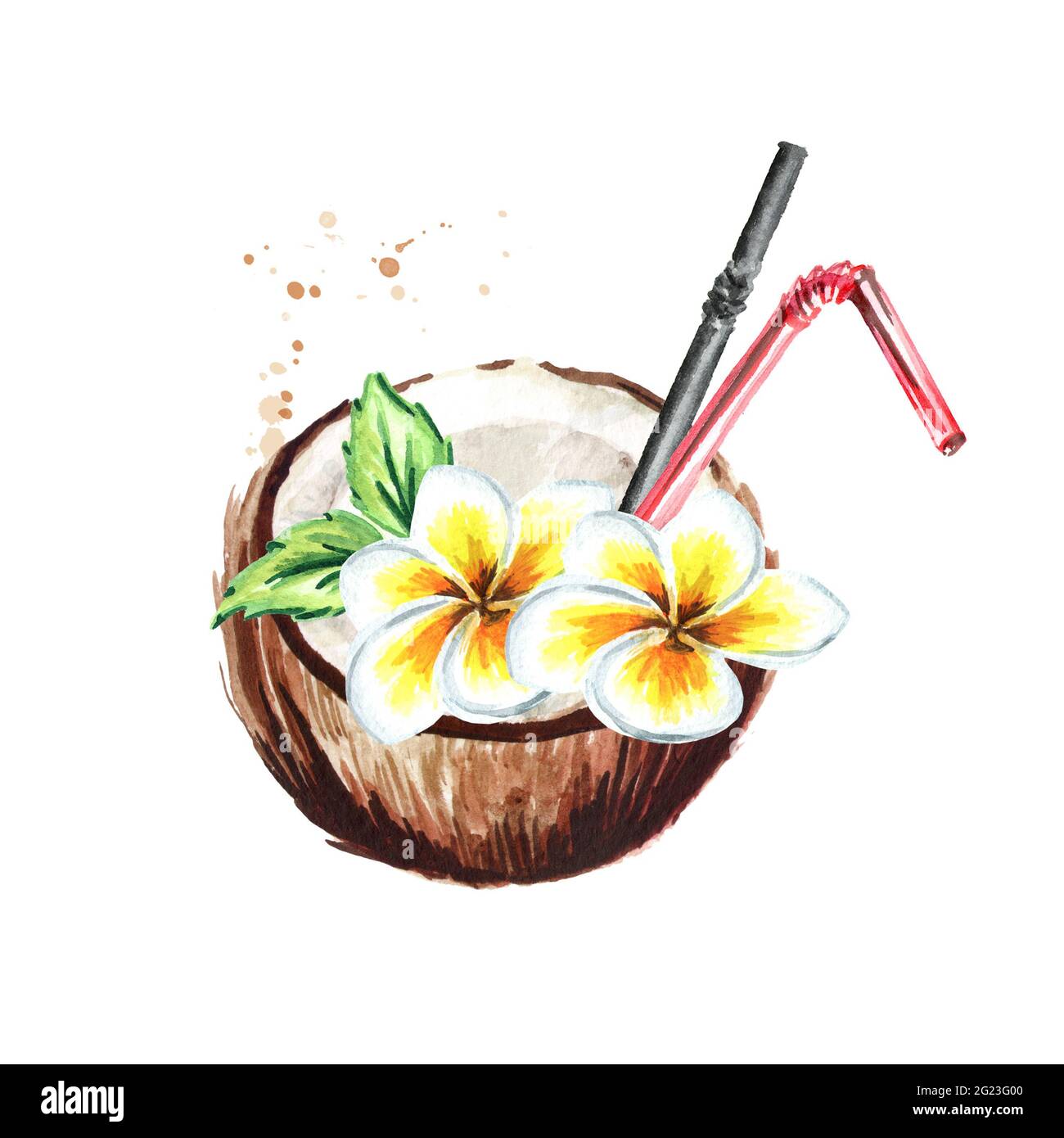 Tropical fresh coconut cocktail with mint decorated plumeria flower ...