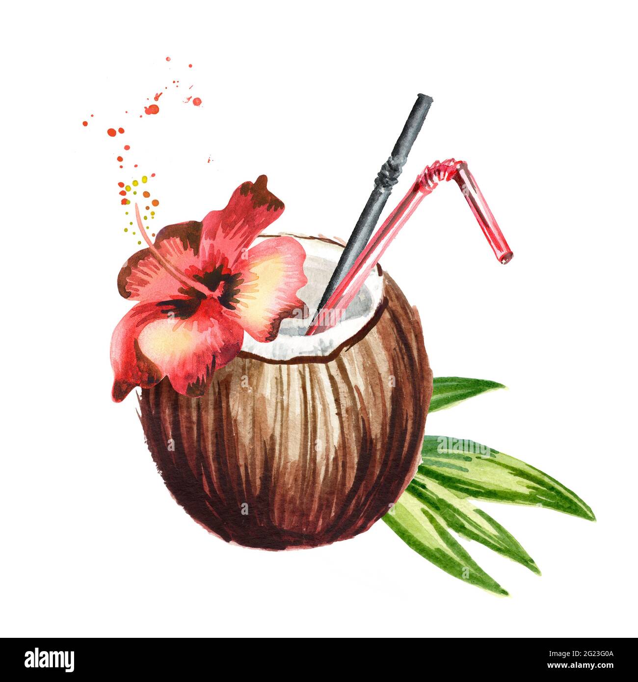Tropical fresh coconut cocktail decorated with red hibiscus flower ...