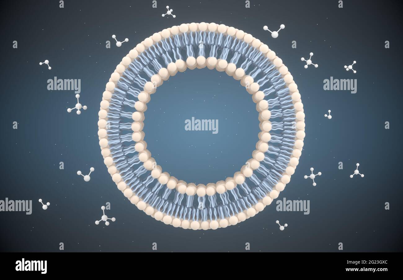 Cell Membrane and Molecules, 3d rendering. Computer digital drawing ...
