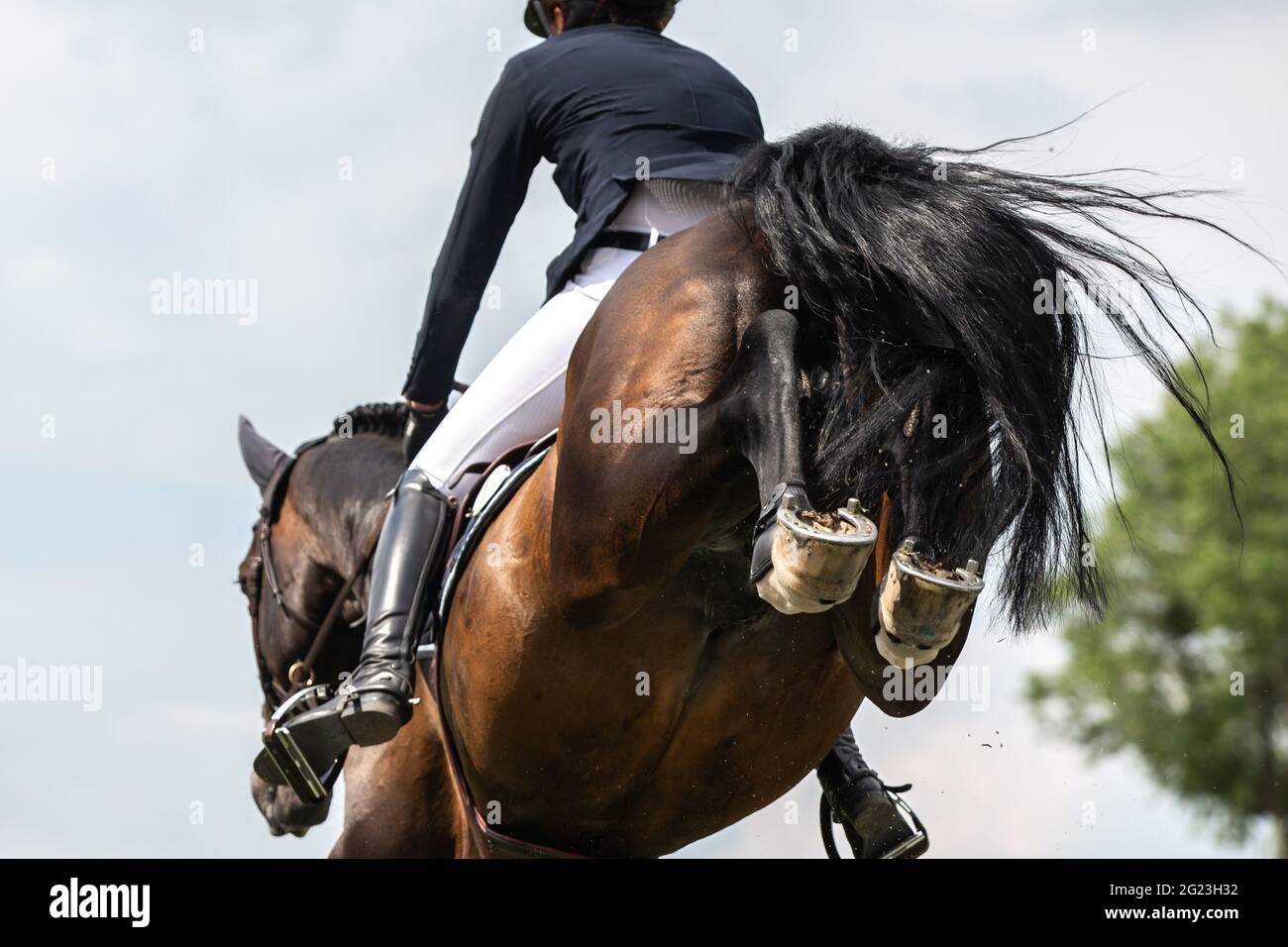 Horse Jumping, Equestrian Sports, Show Jumping event themed photograph ...