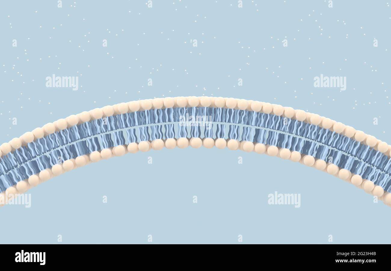 Cell membrane with blue background, 3d rendering. Computer digital ...