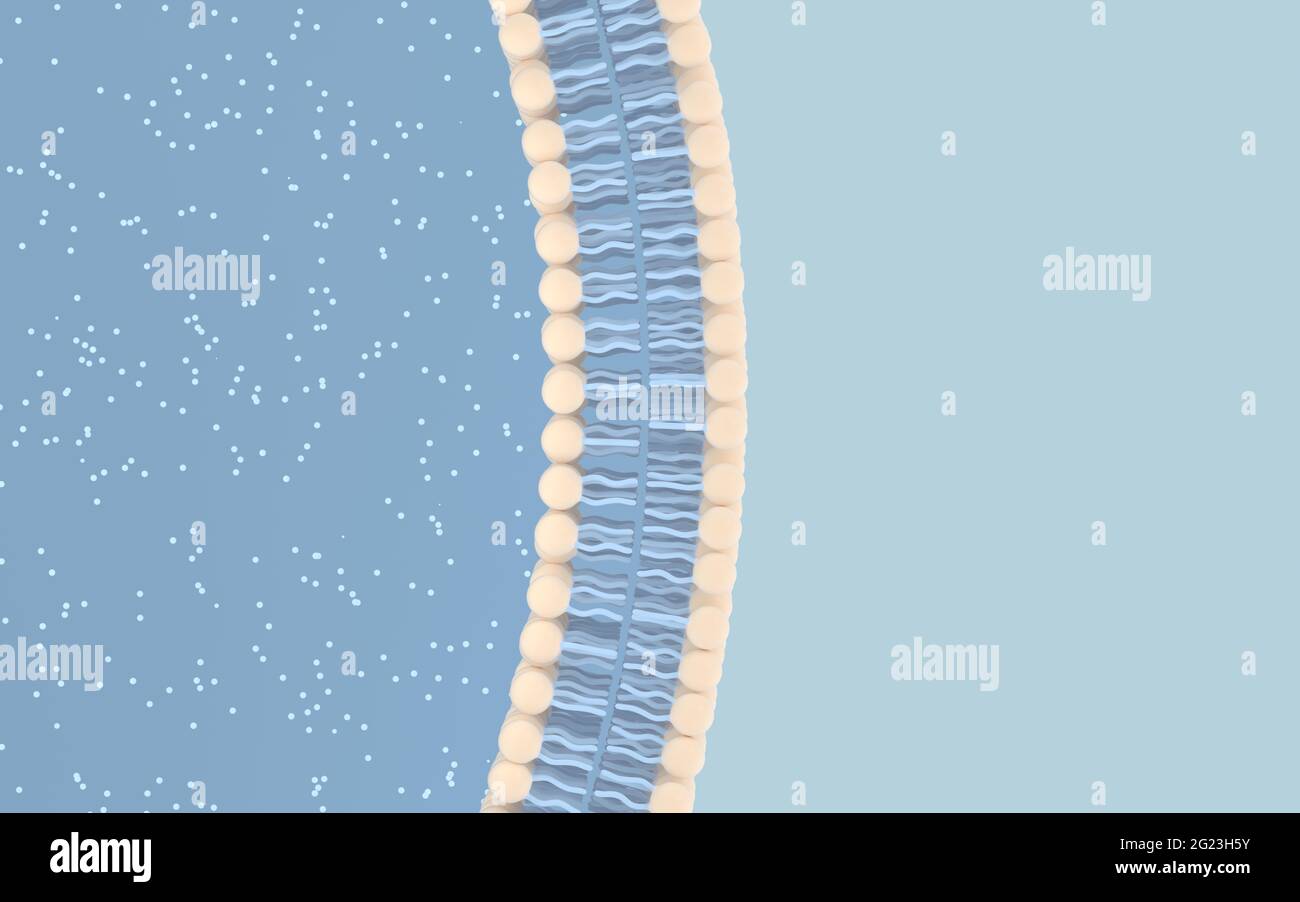 Cell membrane with blue background, 3d rendering. Computer digital ...