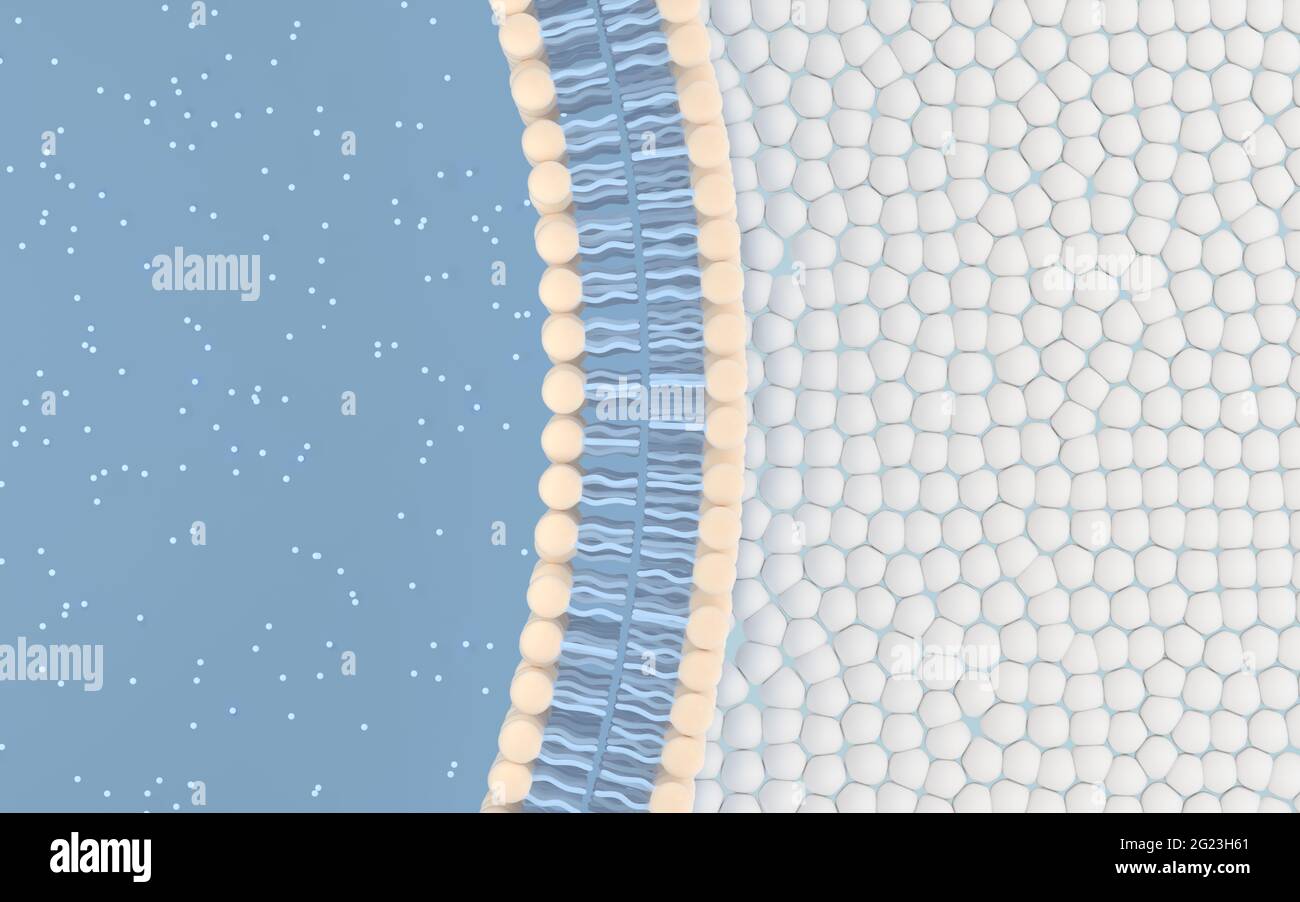 Cell membrane with blue background, 3d rendering. Computer digital ...