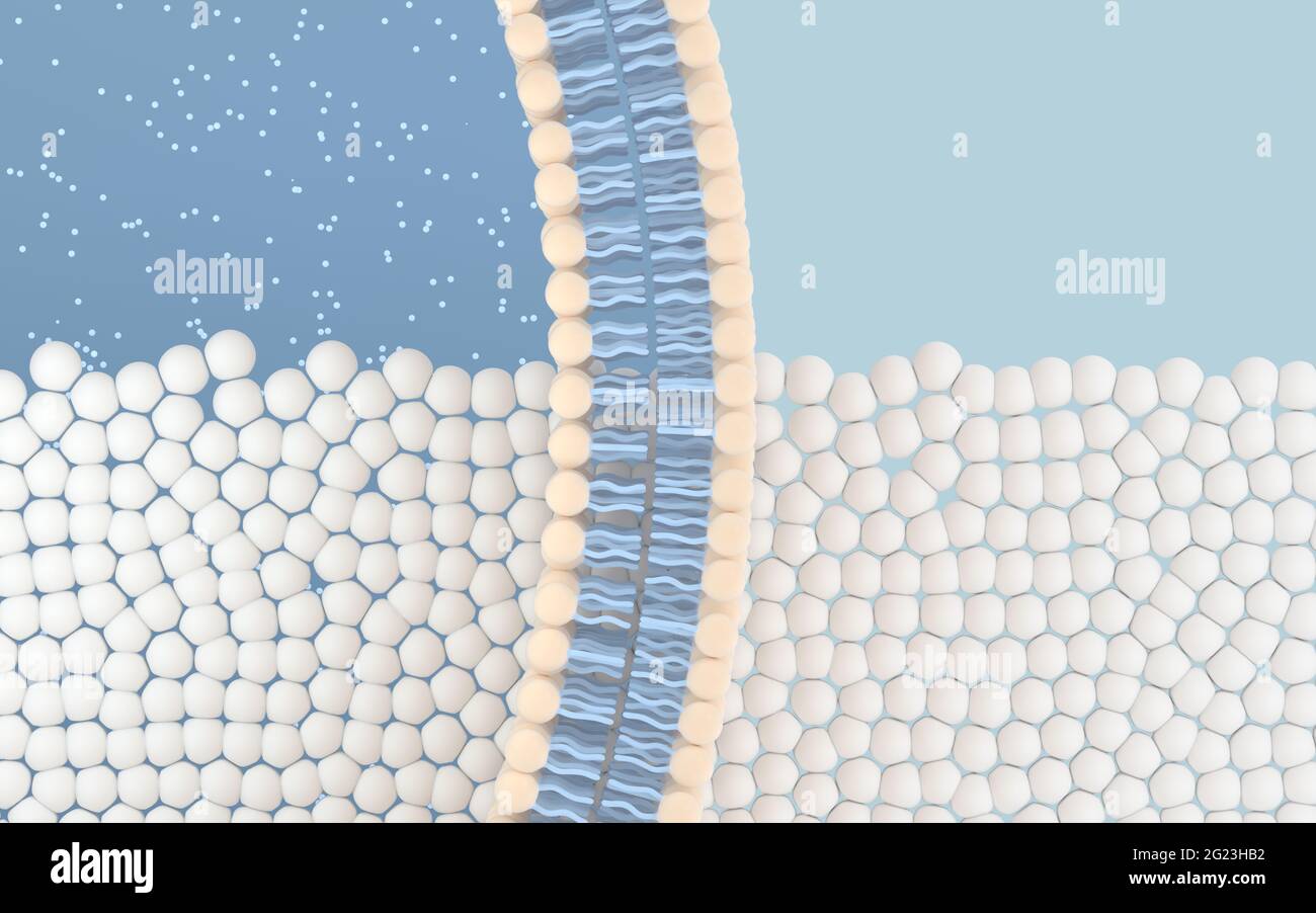 Cell membrane with blue background, 3d rendering. Computer digital ...