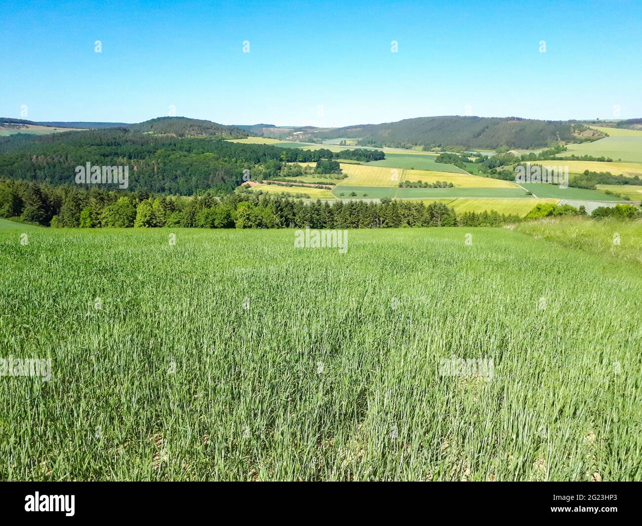 Plantation green rolling trees hi-res stock photography and images - Alamy