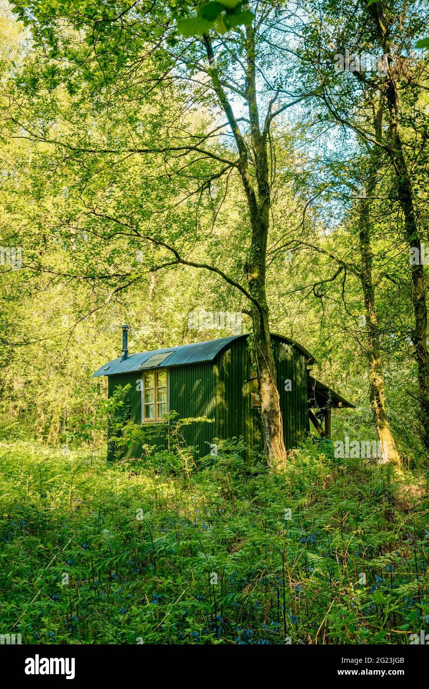 Glamping cabin hi-res stock photography and images - Alamy