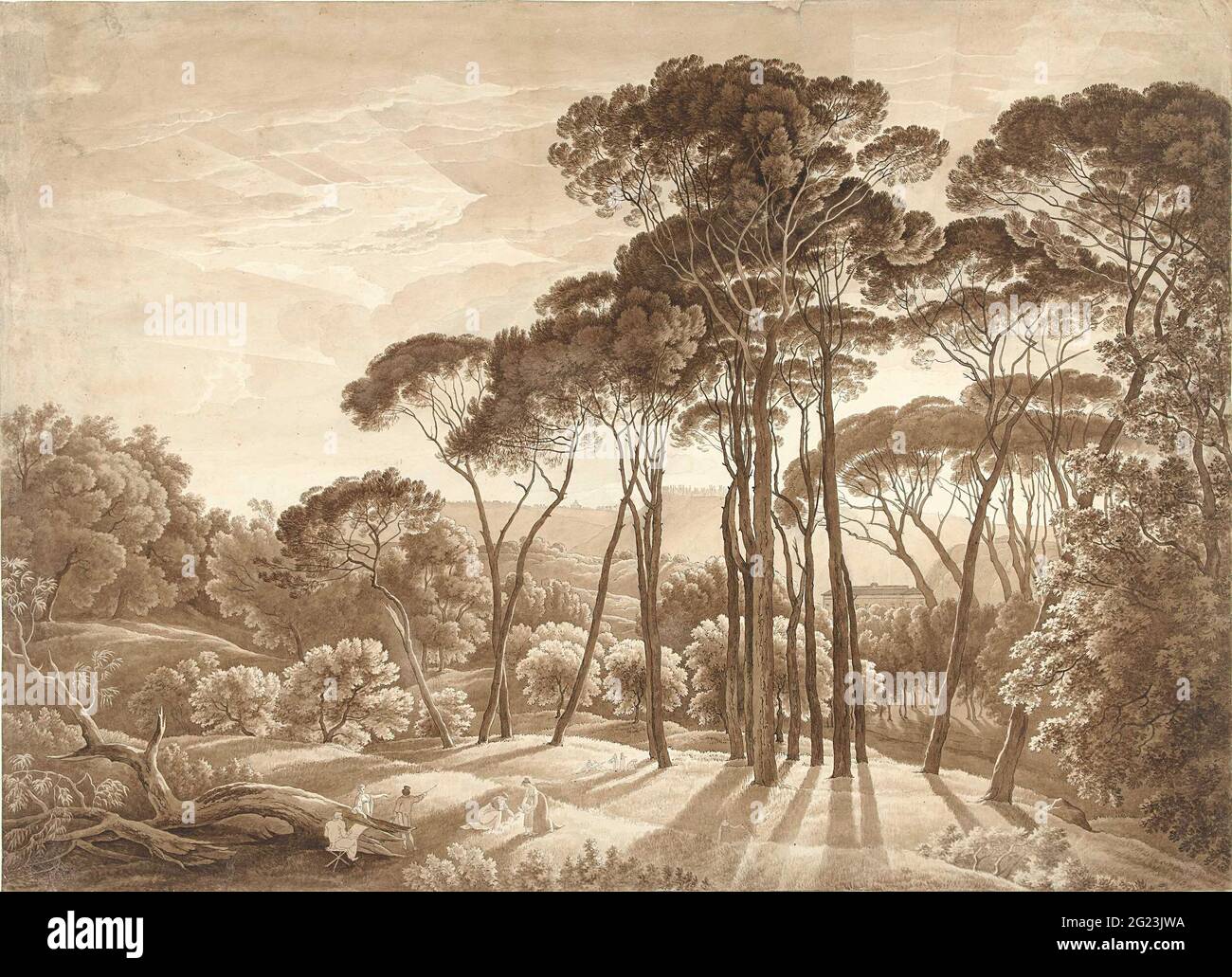 Forest landscape in the area of Rome with setting sun. A forest ...