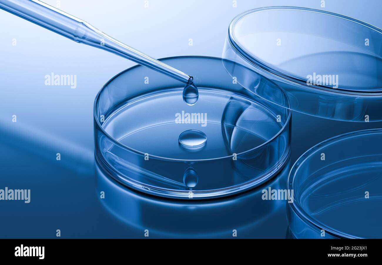 Petri dish drawing hi-res stock photography and images - Alamy