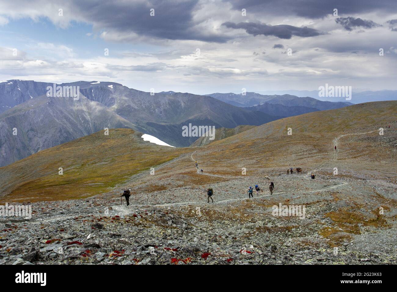 Peaks of the Altai Mountains Stock Photo - Alamy