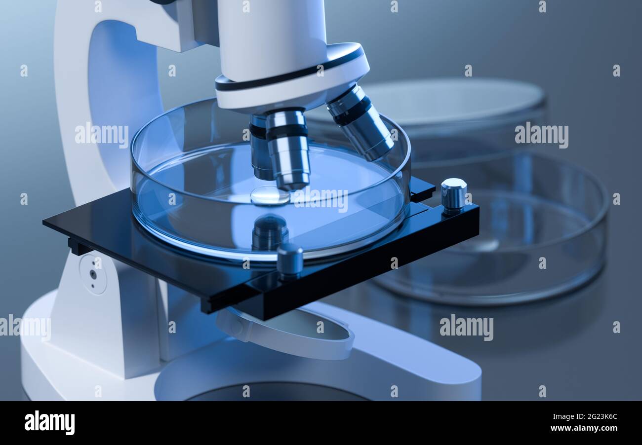 Petri dish drawing hi-res stock photography and images - Alamy