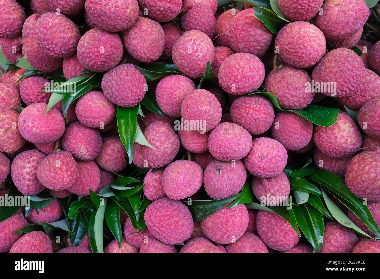 Lychee for sale at the market Stock Photo - Alamy