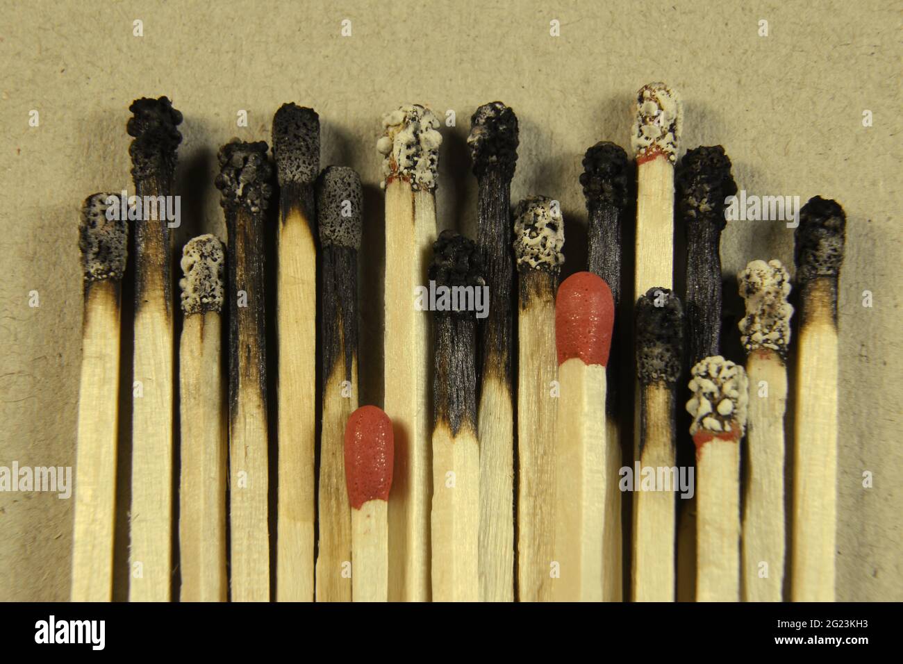 Burnout: some Firesticks Stock Photo - Alamy