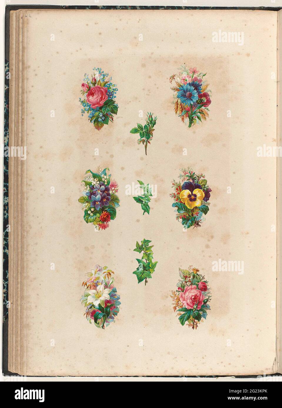 Nine poetry pictures with flowers and plants. Three poetry pictures of ...