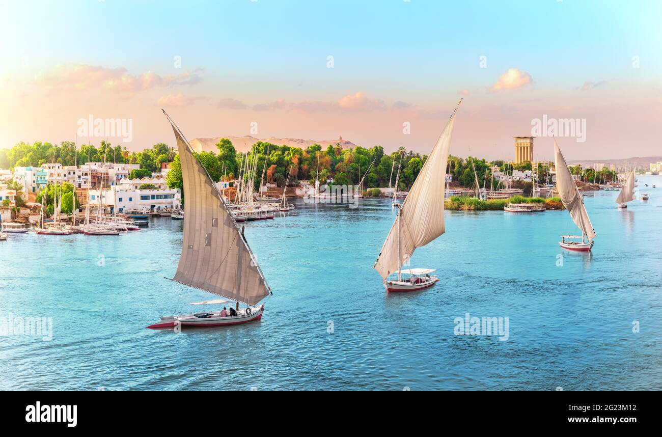 Aswan, Nile River scenery with famous sailboats, Egypta Stock Photo - Alamy