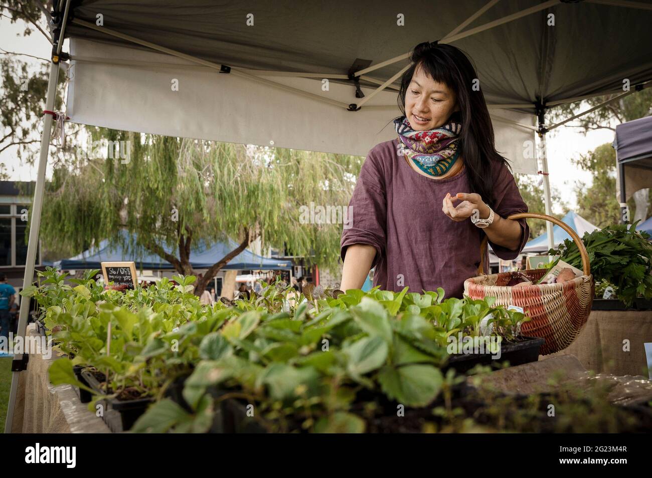 Fremantle farmers markets hi-res stock photography and images - Alamy