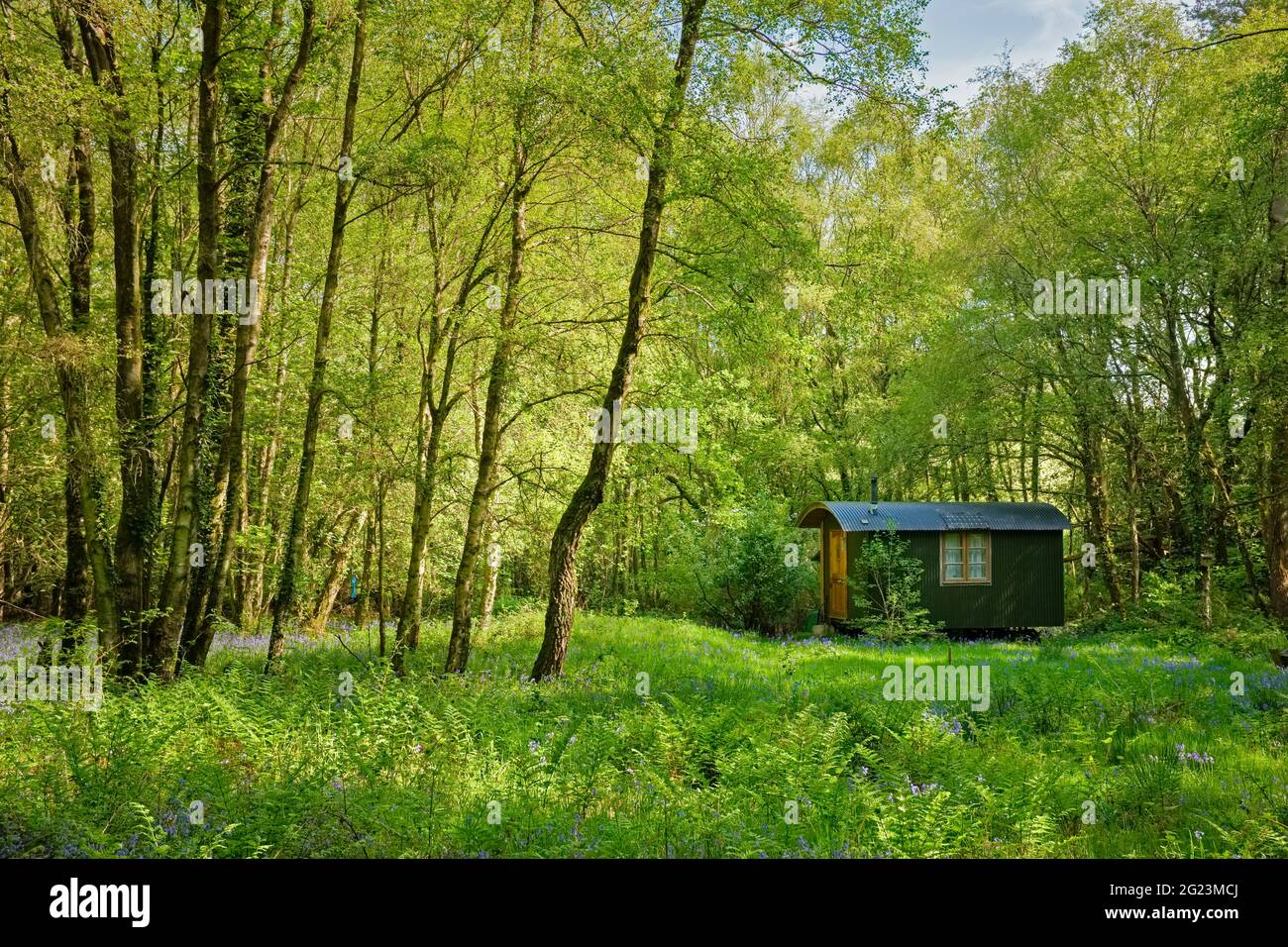 Small isolated cabin in the forest Stock Photo - Alamy