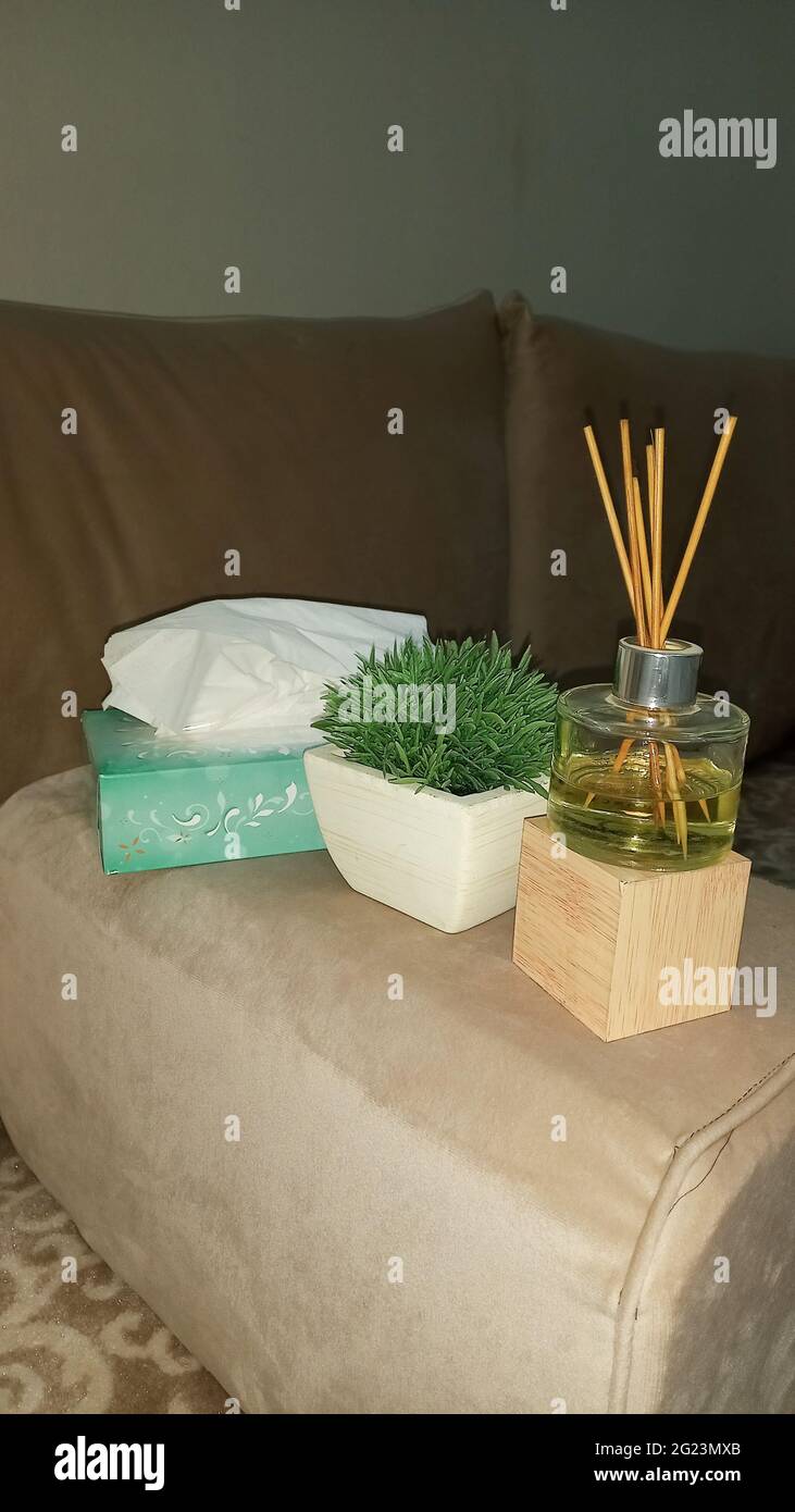 home decor interior accessories isolated,aromatic scent with sticks on ...