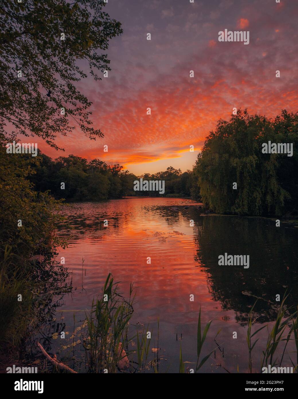 A vibrant sunset over Prospect Park Lake, in Brooklyn, New York City ...