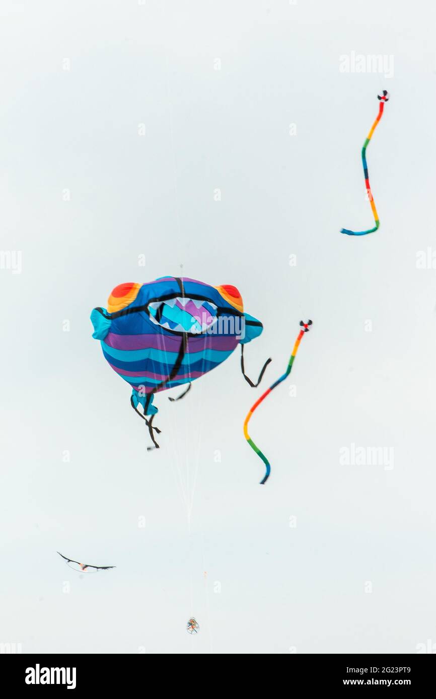 Giant fish flying in the sky at the beach in Grand Haven Stock Photo ...