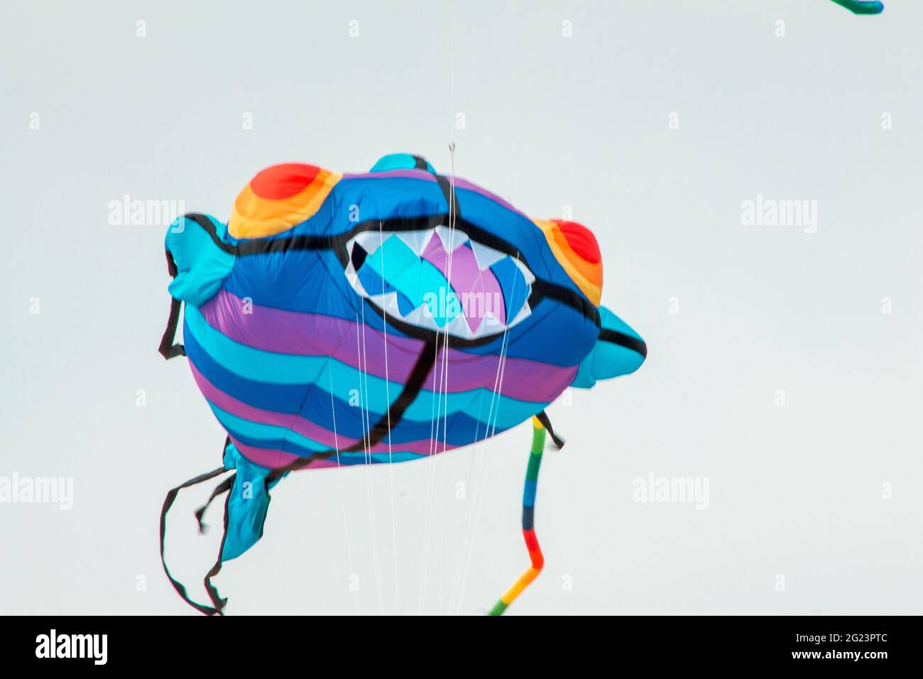 Giant fish kite at the kite festival Stock Photo - Alamy