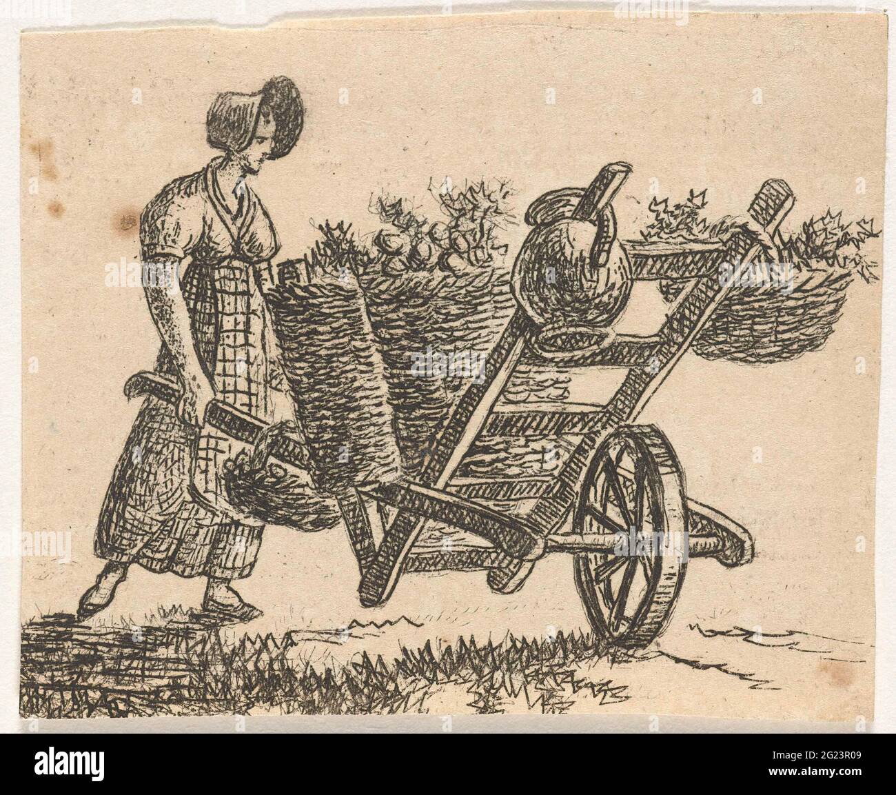 Woman with wheelbarrow. A woman pushes a wheelbarrow with baskets to ...