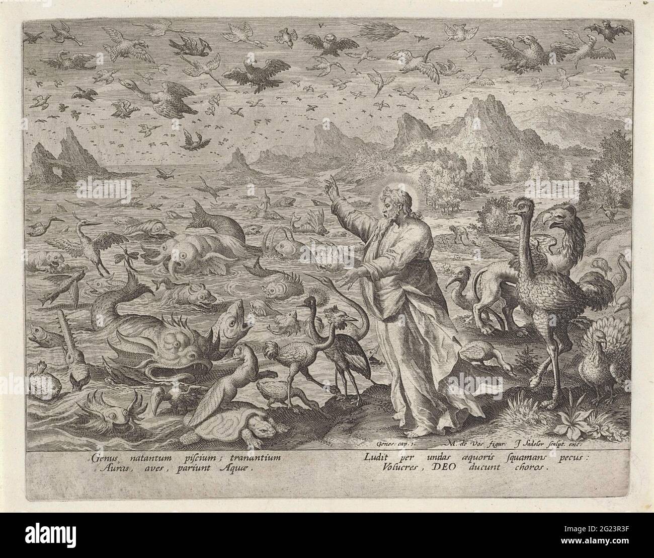 Creation of the birds and the marine animals; Creation of the world ...