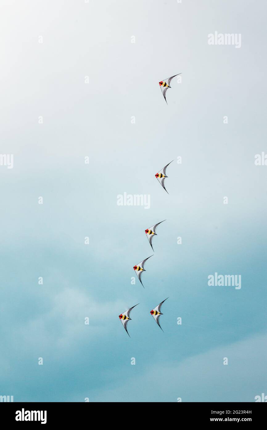 Kites flying during kite show Stock Photo - Alamy