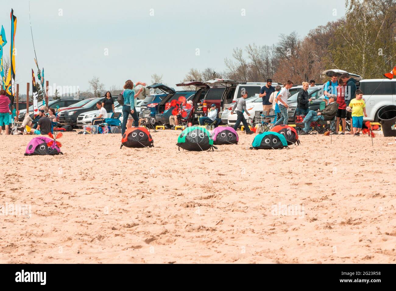 Ladybug kites on the beach Stock Photo - Alamy