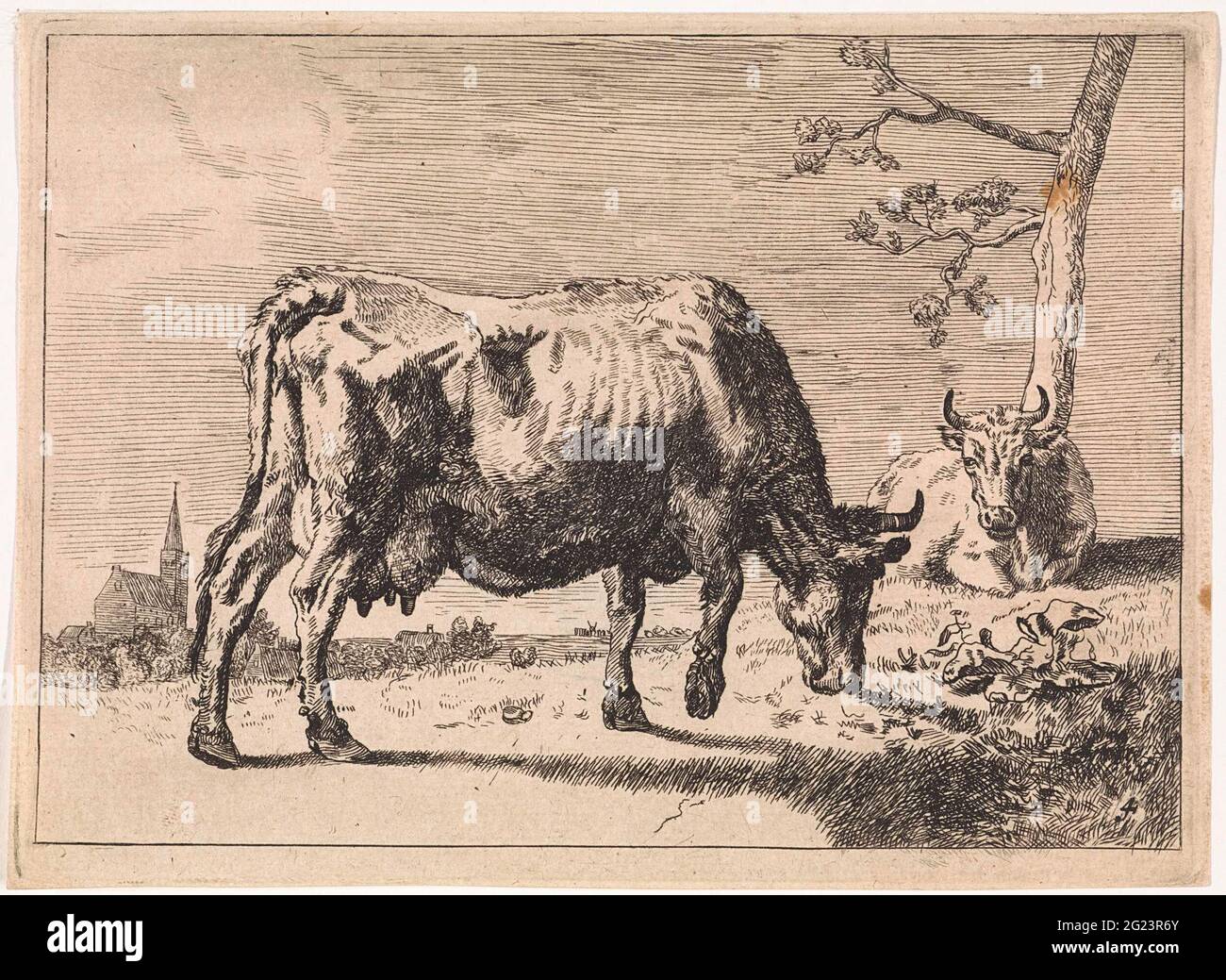 Grazing cow; The bull book. Leged below numbered: 4 Stock Photo - Alamy
