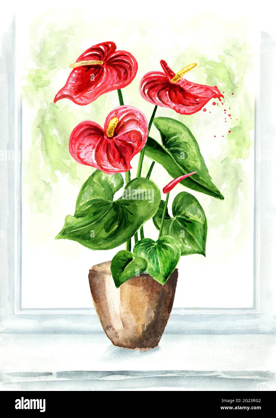 Anthurium Flower Painting